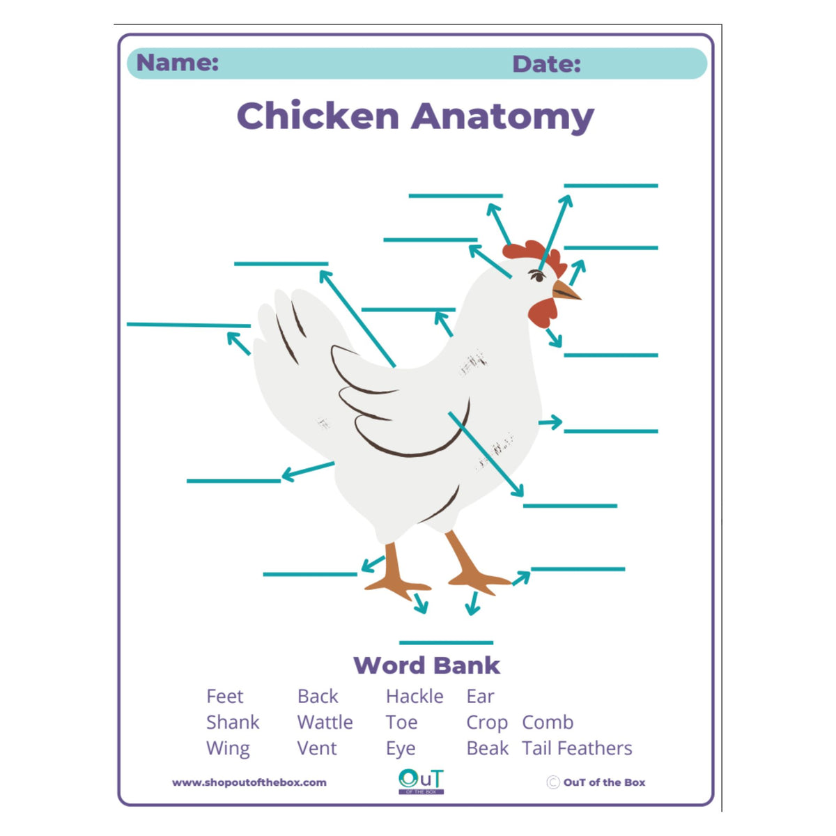 Chicken Educational Packet - Instant Download! – Excel Therapy Services